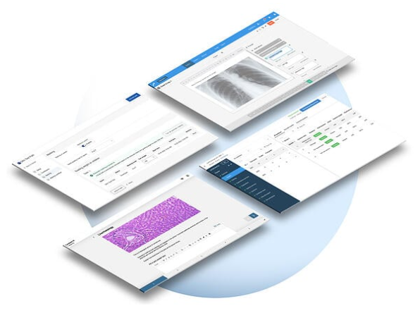 Cloud-based Online Exam Platform Provider, Inspera, Explains The Uses ...